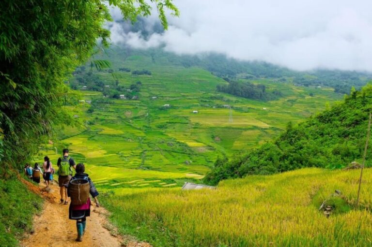Sapa beautiful rice field, village - Easy walking kid,senior - Why This Tour Delivers Real Value