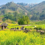 Sapa Cat Cat Village And Y Linh Ho Private Trekking Tour - Practical Tips for Travelers