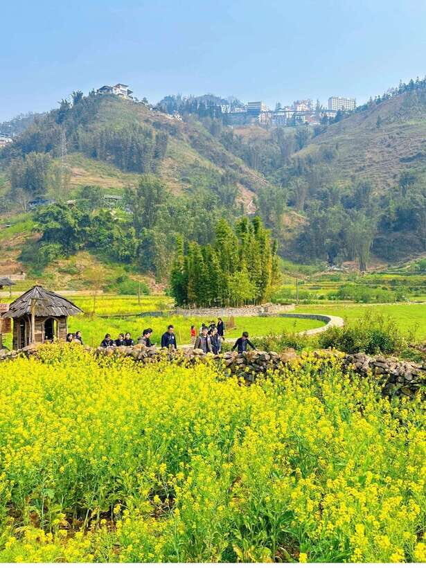 Sapa Cat Cat Village And Y Linh Ho Private Trekking Tour - Practical Tips for Travelers