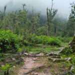 SAPA : Climb up to Fansipan mountain with LOCAL GUIDE - Practical Tips for a Successful Climb