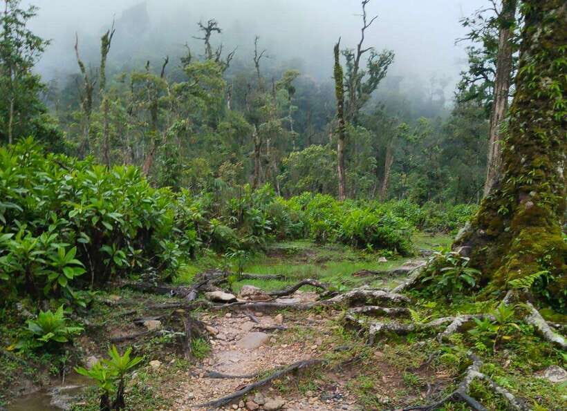 SAPA : Climb up to Fansipan mountain with LOCAL GUIDE - Practical Tips for a Successful Climb
