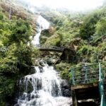 Sapa Hoang Lien National Park & Tribal Village Trek Private - Hoang Lien National Park & Waterfalls