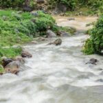 Sapa, Muong Hoa Valley - 1 Day Hiking & Cultural Experience - Practical Details & What You Can Expect