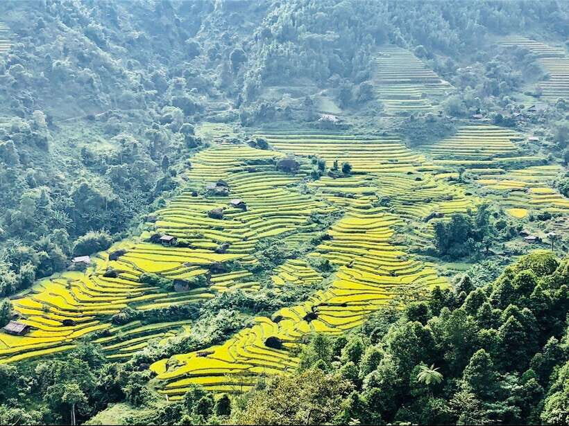 Sapa: Private Highlights Day Tour with Lunch - Overview of the Tour