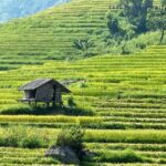 Sapa: Private Muong Hoa Valley and Homestay Trekking 2-Day - What Sets This Tour Apart?