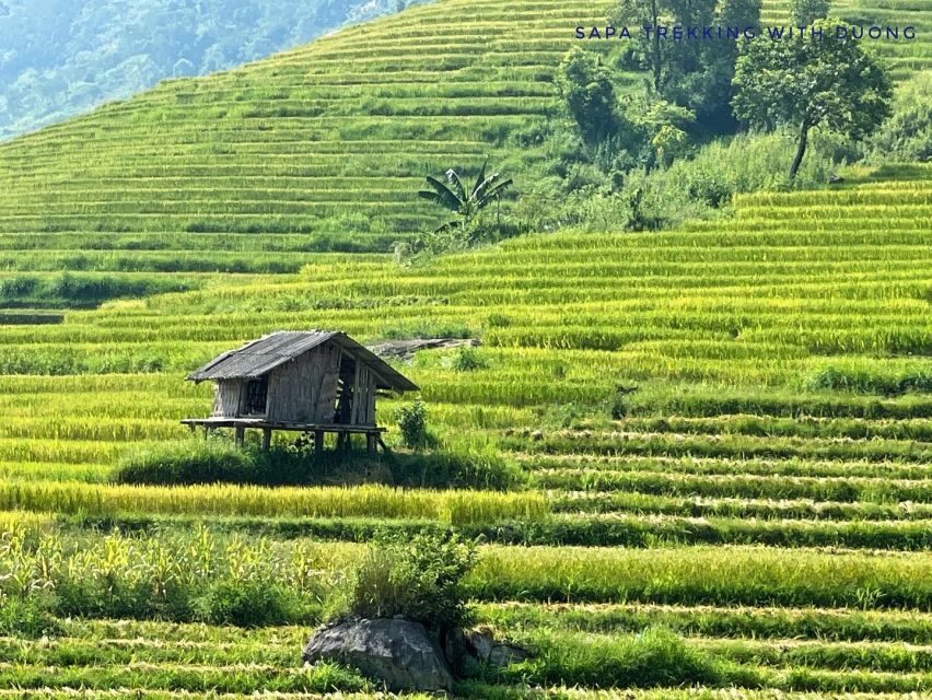 Sapa: Private Muong Hoa Valley and Homestay Trekking 2-Day - What Sets This Tour Apart?
