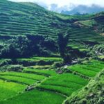 Sapa Tour 2Days/1Night with Fansipan Peak - The Roof of Indochina - In-Depth: What We Loved and What’s Worth Considering