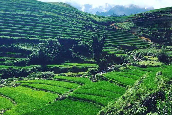 Sapa Tour 2Days/1Night with Fansipan Peak - The Roof of Indochina - In-Depth: What We Loved and What’s Worth Considering