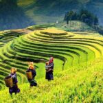 Sapa trekking 2days by bus from Hanoi ( over night in homestay) - The Experience: Pros and Cons