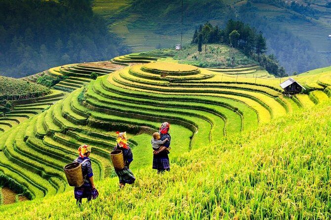 Sapa trekking 2days by bus from Hanoi ( over night in homestay) - The Experience: Pros and Cons