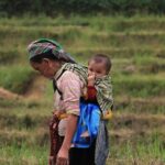 Sapa Trekking 3 Days 2 Nights by Bus - Homestay & Hotel - What’s the Real Value?