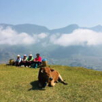 Sapa Trekking Guide Francophone 2 days  1 night - Practical Details and Value