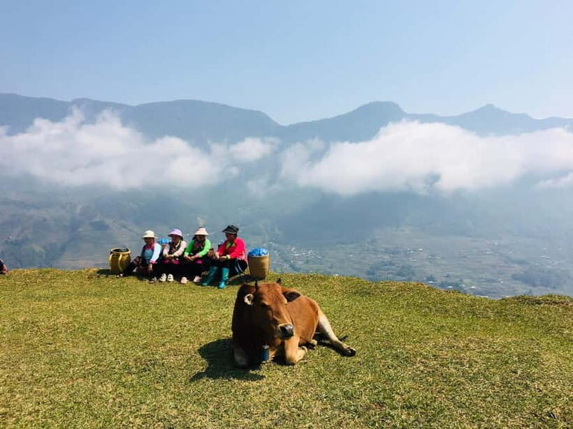 Sapa Trekking Guide Francophone 2 days  1 night - Practical Details and Value