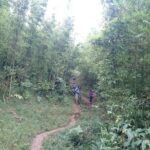 Sapa Trekking Tour - 1 day - Authenticity and Local Interaction