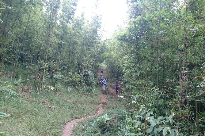 Sapa Trekking Tour - 1 day - Authenticity and Local Interaction