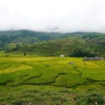 Sapa Trip to Y Linh Ho - Lao Chai - Ta Van - Cat Cat Village - What Sets This Tour Apart