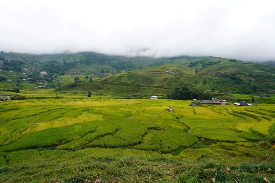 Sapa Trip to Y Linh Ho - Lao Chai - Ta Van - Cat Cat Village - What Sets This Tour Apart