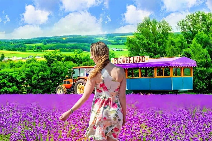 Sapporo: Furano Lavender & Biei Blue Pond Tour with Lunch - The Real Value of the Tour