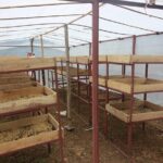Sarangkot Village Coffee Culture and Authentic Local Life Tour - What’s Included and What’s Not