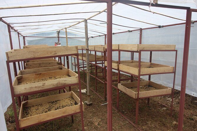 Sarangkot Village Coffee Culture and Authentic Local Life Tour - What’s Included and What’s Not