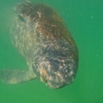 Sarasota Waterways Tour for All Ages - The Breakdown of the Itinerary