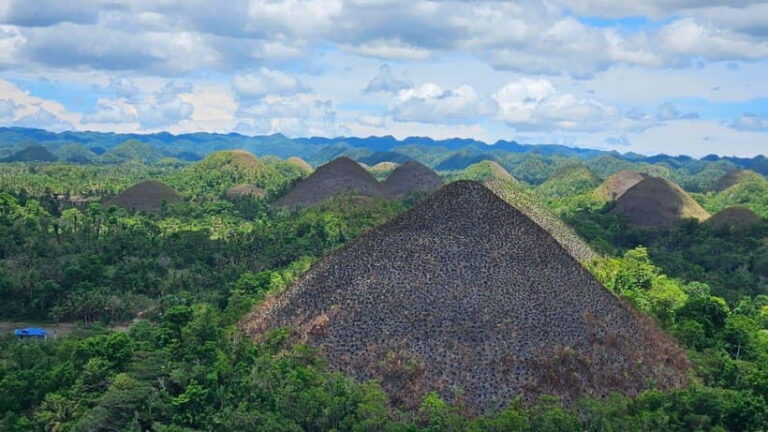 Sardines, chocolate hills, tarsiers, ATV,floating restaurant - What You Can Expect: Highlights in Detail