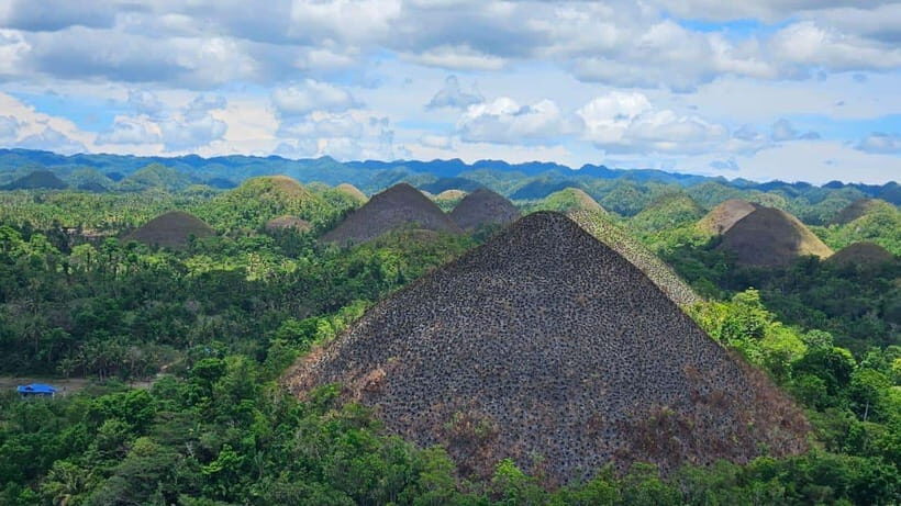 Sardines, chocolate hills, tarsiers, ATV,floating restaurant - What You Can Expect: Highlights in Detail