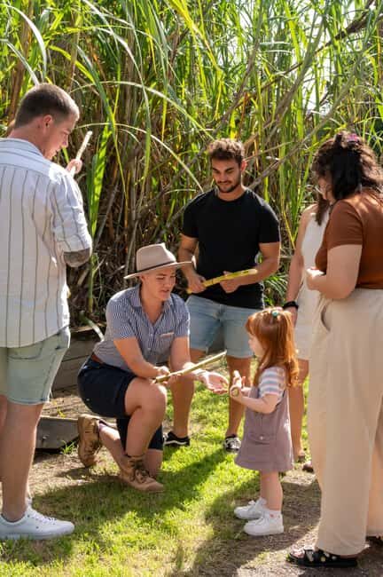 Sarina: Guided Tour of the Sarina Sugar Shed with Tasting - Is It Worth the Price?