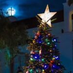 Savannah Holiday Sights and Festive Nights Trolley Tour - FAQs