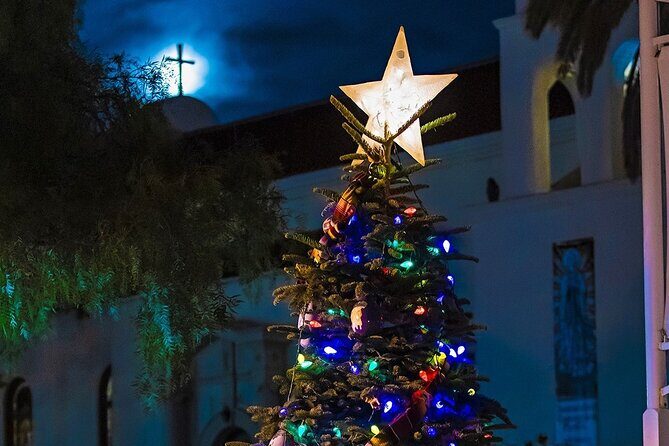 Savannah Holiday Sights and Festive Nights Trolley Tour - FAQs