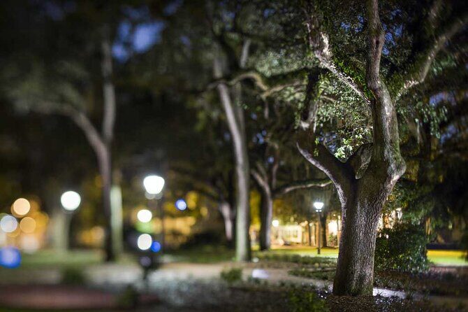 Savannah Shadows All Ages Ghost Tour - The Sum Up: Who Should Consider This Tour?