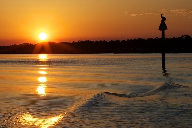 Savannah Sunset Dolphin Eco Tour - Who Will Appreciate This Tour?