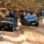 Sawai Madhopur: Ranthambore National Park Guided Jeep Safari - The Itinerary in Detail: What to Expect