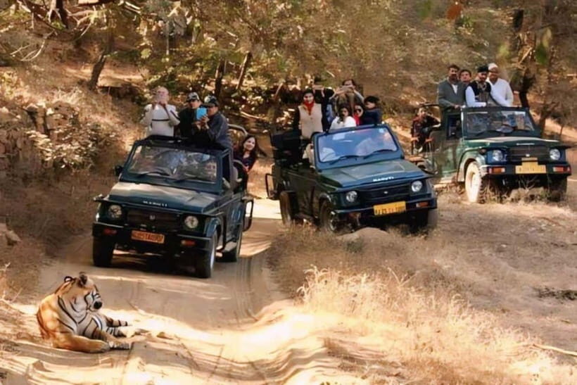 Sawai Madhopur: Ranthambore National Park Guided Jeep Safari - The Itinerary in Detail: What to Expect