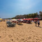 Sayulita And San Pancho Beachs Tour - The Sum Up