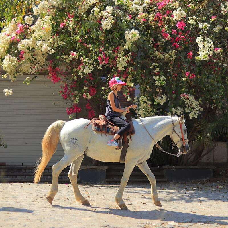 Sayulita: Horseback Riding Tour - Itinerary Breakdown: What Does the Tour Cover?