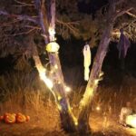 Scary Movie Night in the Desert - FAQs