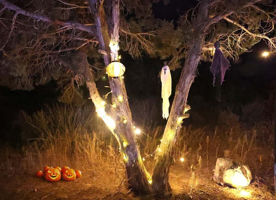 Scary Movie Night in the Desert - FAQs