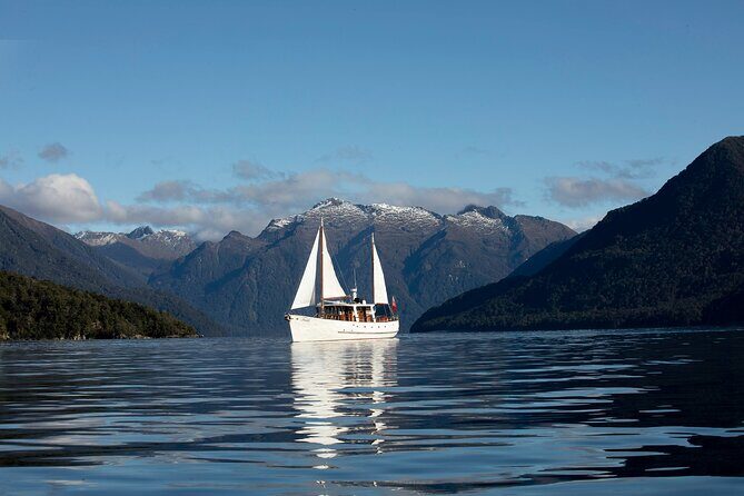 Scenic Cruise & Guided Walk on Historic Motor Yacht Lake Te Anau - Pricing and Value