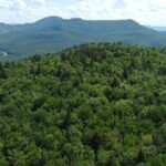 Scenic Hiking Adventure at Mont-Orford National Park - Practical Info and Logistics