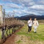 Scenic Hunter Valley Tour with Wine and Cheese Tastings - Potential Drawbacks and Considerations