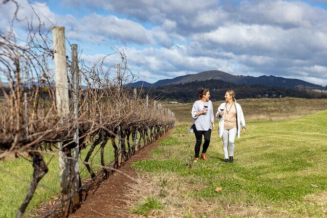 Scenic Hunter Valley Tour with Wine and Cheese Tastings - Potential Drawbacks and Considerations