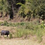 Scooter Adventure with elephants, views and FUN drive yourself - Authentic Encounters and Genuine Value