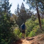 Scottsdale to Sedona Hike and Sights Tour - Final Thoughts: Is This Tour Right for You?