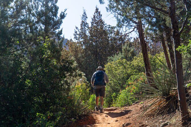 Scottsdale to Sedona Hike and Sights Tour - Final Thoughts: Is This Tour Right for You?