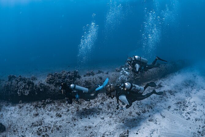 Scuba Dive at Electric Beach - Itinerary Breakdown