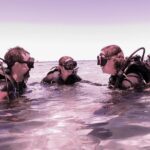 Scuba Dive The Beautiful Rottnest Island for Certified divers - Post-Dive and Lunch Break
