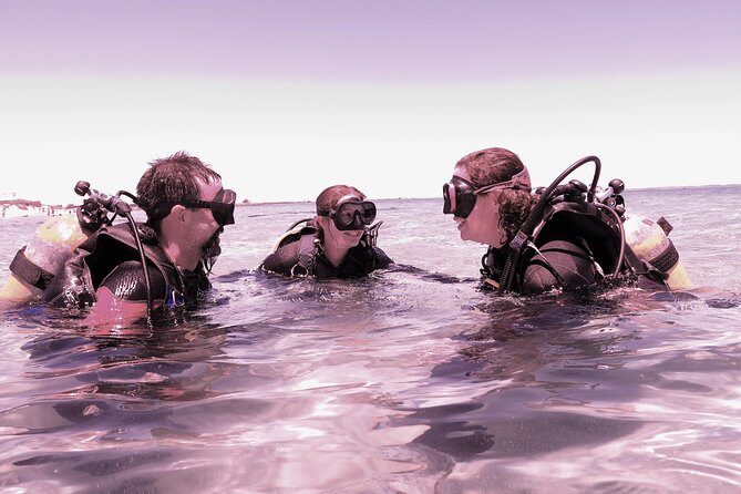 Scuba Dive The Beautiful Rottnest Island for Certified divers - Post-Dive and Lunch Break