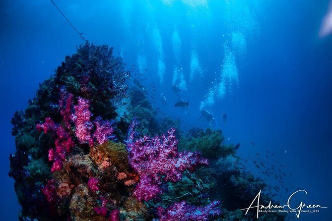 Scuba Dive the S.S. Yongala Wreck on the Great Barrier Reef. - Final Thoughts