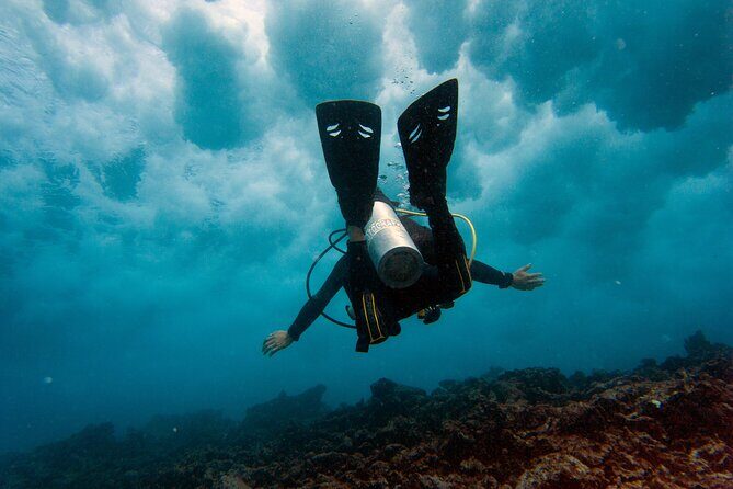 Scuba Diving (1st time) in Cancun Beginner's WELCOMED! - An Introduction to the Cancun Scuba Experience